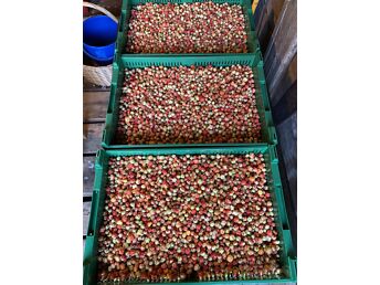 Põllu- ja aiasaadused, toidukaubad - Kuldne Börs