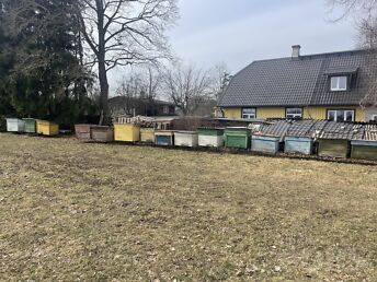 Mesindus - Kuldne Börs