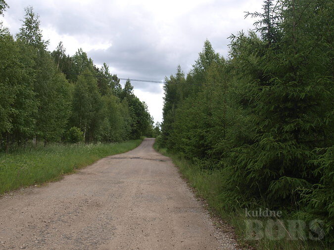 PÕLVAMAA, KANARIKU, KASE, KASE TALU, müük, kuulutus 79820459 - Kuldne Börs