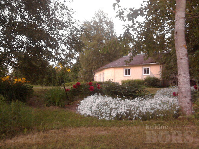 PÕLVAMAA, KANARIKU, KASE, KASE TALU, müük, kuulutus 79820459 - Kuldne Börs