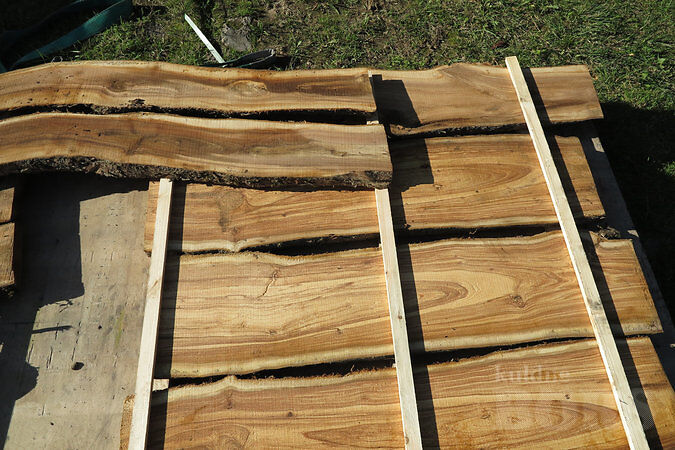 SAARE, TAMME, VAHTRA, PÄRNA SAEMATERJAL, müük, kuulutus 81339647 ...