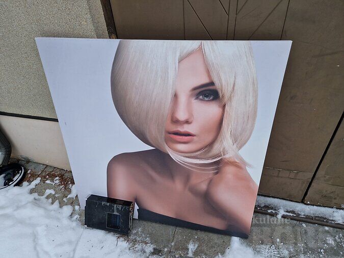 PILT MAAL KUNSTITEOS HEA INVESTEERING PENSIONISAMMAS, müük, kuulutus ...